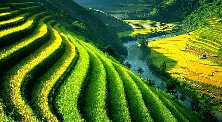 Bali’s Subak System – The Sacred Tradition Behind Its Rice Terraces ...